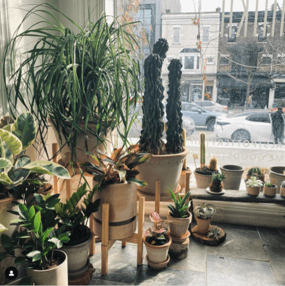 Bergs Potter – MIKA